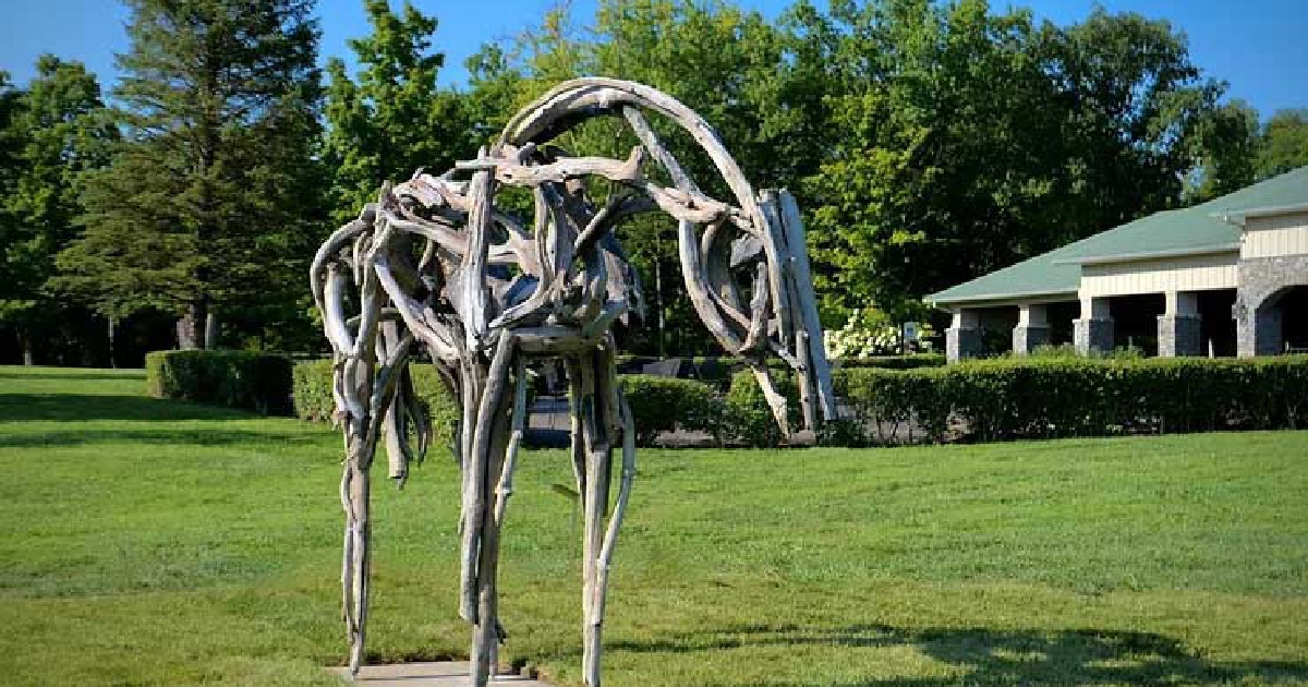 Deborah Butterfield Museum Acqusition | Haines Gallery