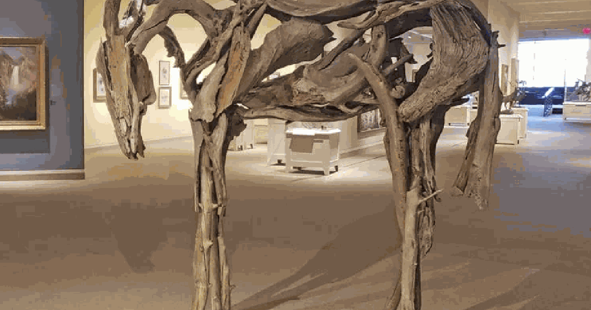 Deborah Butterfield Museum Acqusition | Haines Gallery